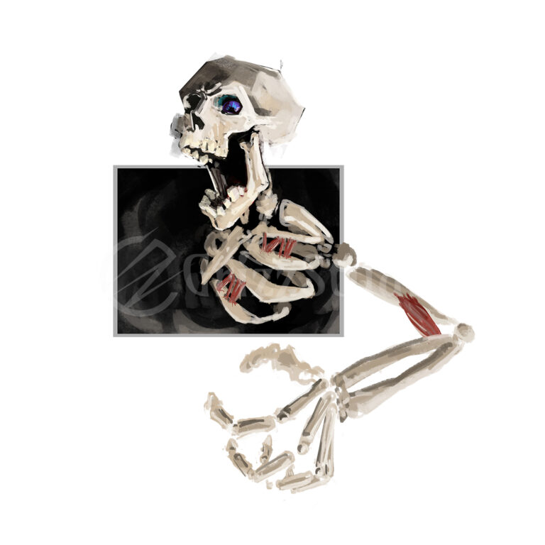 The "Scared Skulls Special Collection" T-shirt: A Detailed Exploration ...